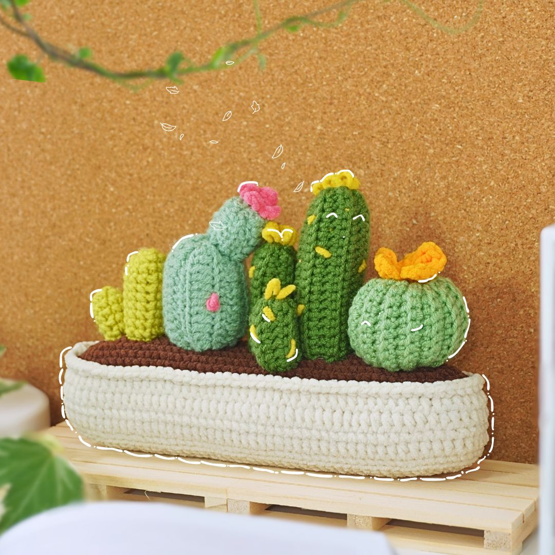 Mixed Cactus Pot Free Crochet Pattern – Boldle